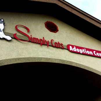 SIMPLY CATS ADOPTION CENTER - Updated October 2025 - 36 Photos & 29 ...