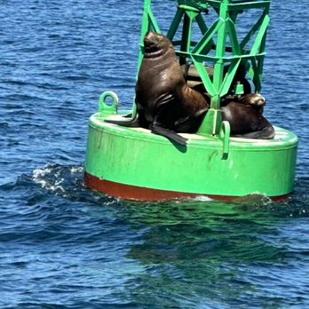 PUGET SOUND EXPRESS - Updated November 2024 - 166 Photos & 76 Reviews ...