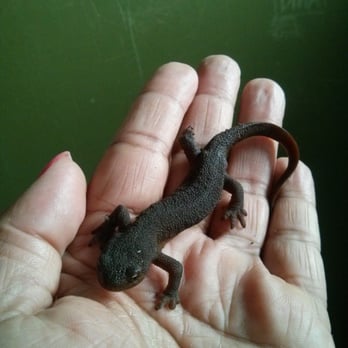 FARADAY LAKE - Updated December 2025 - 33832-33996 E Faraday Rd ...