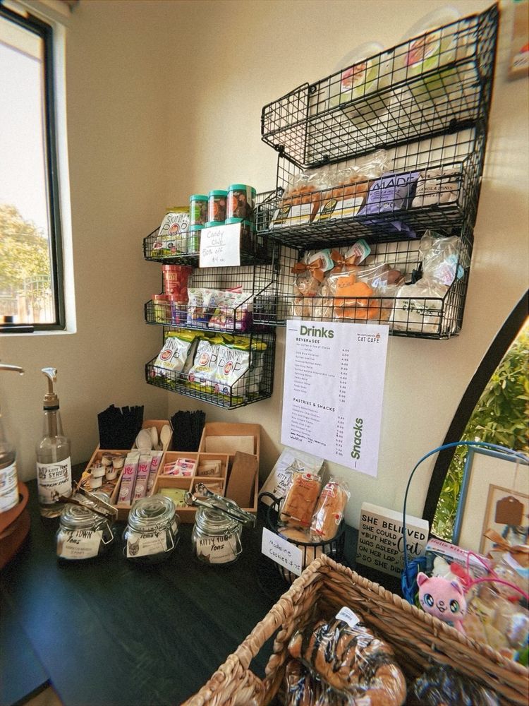 THE CAFFEINATED CAT CAFE - Updated December 2025 - 48 Photos & 22 ...