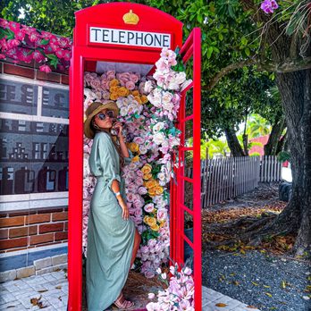 PINTO’S FARM - Updated November 2024 - 474 Photos & 167 Reviews - 14890 ...