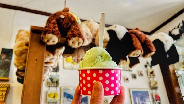 GEORGETOWN VALLEY CANDY COMPANY - Updated October 2025 - 72 Photos & 71 ...