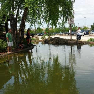 BASS PRO SHOPS - 105 Photos & 78 Reviews - 6112 Grand Ave, Gurnee, IL ...