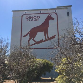 DINGO FLOUR SIGN - Updated June 2024 - 111 Stirling Hwy, Fremantle ...