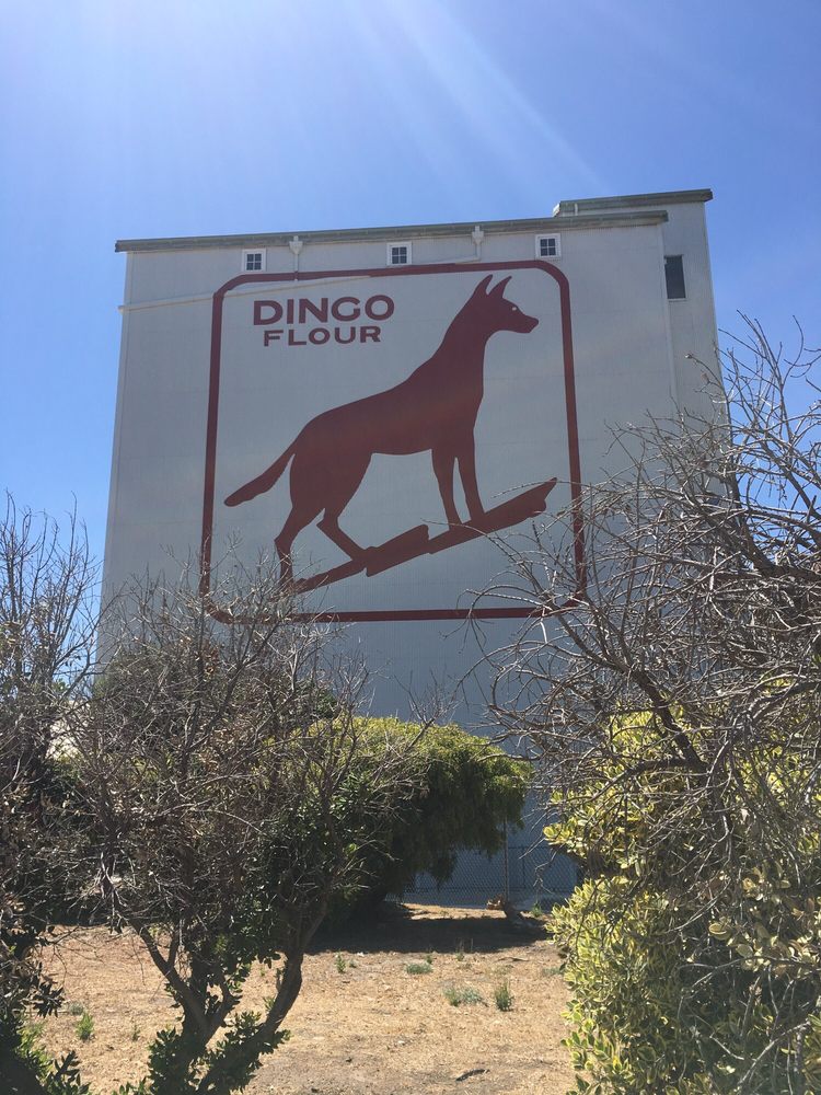 DINGO FLOUR SIGN - Updated June 2024 - 111 Stirling Hwy, Fremantle ...