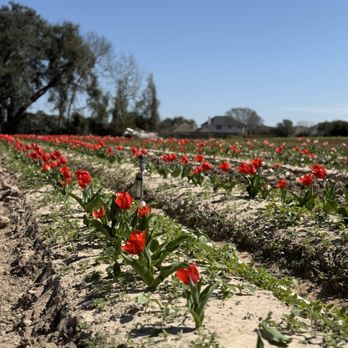 ATKINSON FARM - Updated December 2025 - 167 Photos & 74 Reviews - 3217 ...