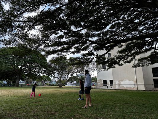 MAKIKI DISTRICT PARK - Updated December 2025 - 52 Photos & 33 Reviews ...