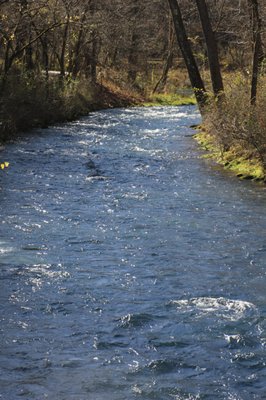 MARAMEC SPRING PARK - Updated November 2024 - 92 Photos & 23 Reviews ...