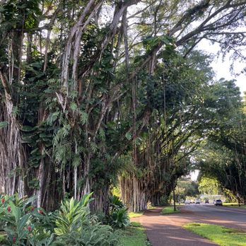 HILO REEDS BAY HOTEL - Updated October 2025 - 62 Photos & 72 Reviews ...