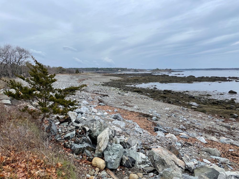 ODIORNE POINT STATE PARK - 65 Photos & 28 Reviews - Rye, NH - Yelp