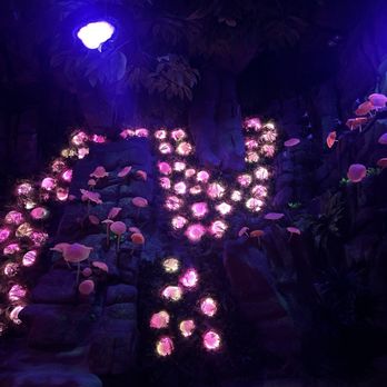 DREAMWALK PARK - Updated April 2025 - 59 Photos - 575 E University Pkwy ...