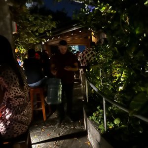 SUGAR - 1099 Photos & 723 Reviews - 788 Brickell Plz, Miami, FL - Yelp