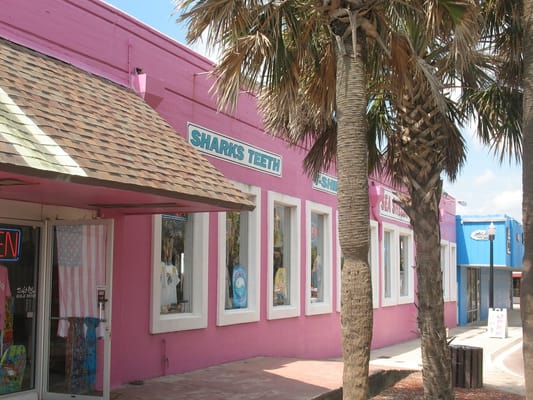 SEA SHELLS & CORAL - 15 Photos & 15 Reviews - 239 1st St N ...
