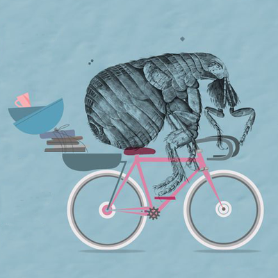 DCCH CENTER FOR CHILDREN AND FAMILIES - Updated January 2026 - 75 ...