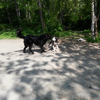 QUARRY RUN DOG PARK - Updated December 2025 - 25 Photos & 20 Reviews ...
