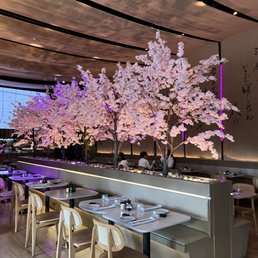 PAPERFISH SUSHI - Updated February 2025 - 1645 Photos & 827 Reviews ...