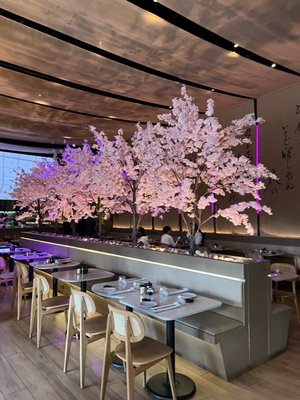 PAPERFISH SUSHI - BRICKELL - 1377 Photos & 630 Reviews - 1421 S Miami ...