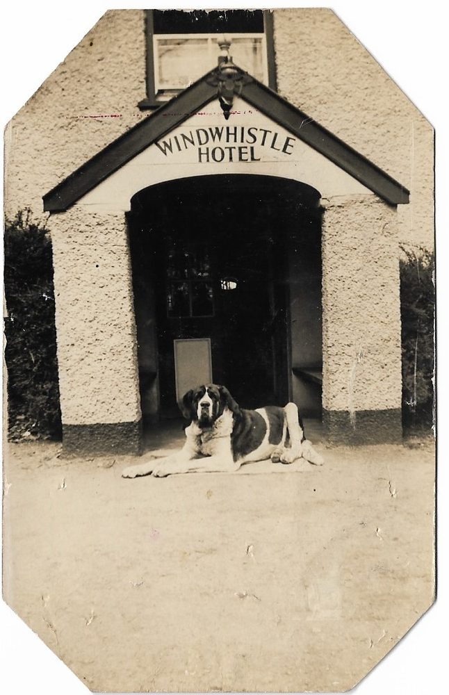 WINDWHISTLE INN - Updated November 2025 - Chard, Somerset, United ...