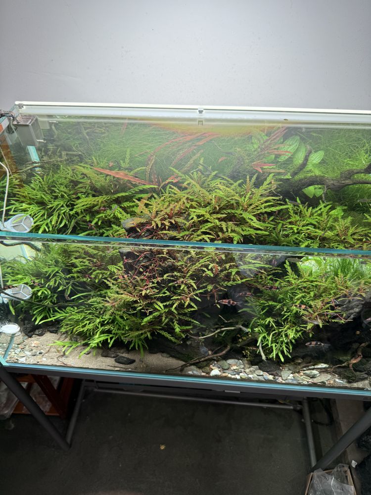 AQUA FOREST AQUARIUM - Updated September 2025 - 167 Photos & 276 ...