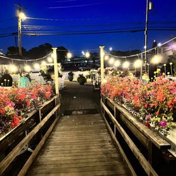 DOG WATCH CAFE - Updated August 2025 - 617 Photos & 607 Reviews - 194 ...