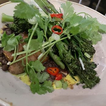 CARAVAN CITY - Updated October 2025 - 27 Photos - 22 Bloomberg Arcade ...