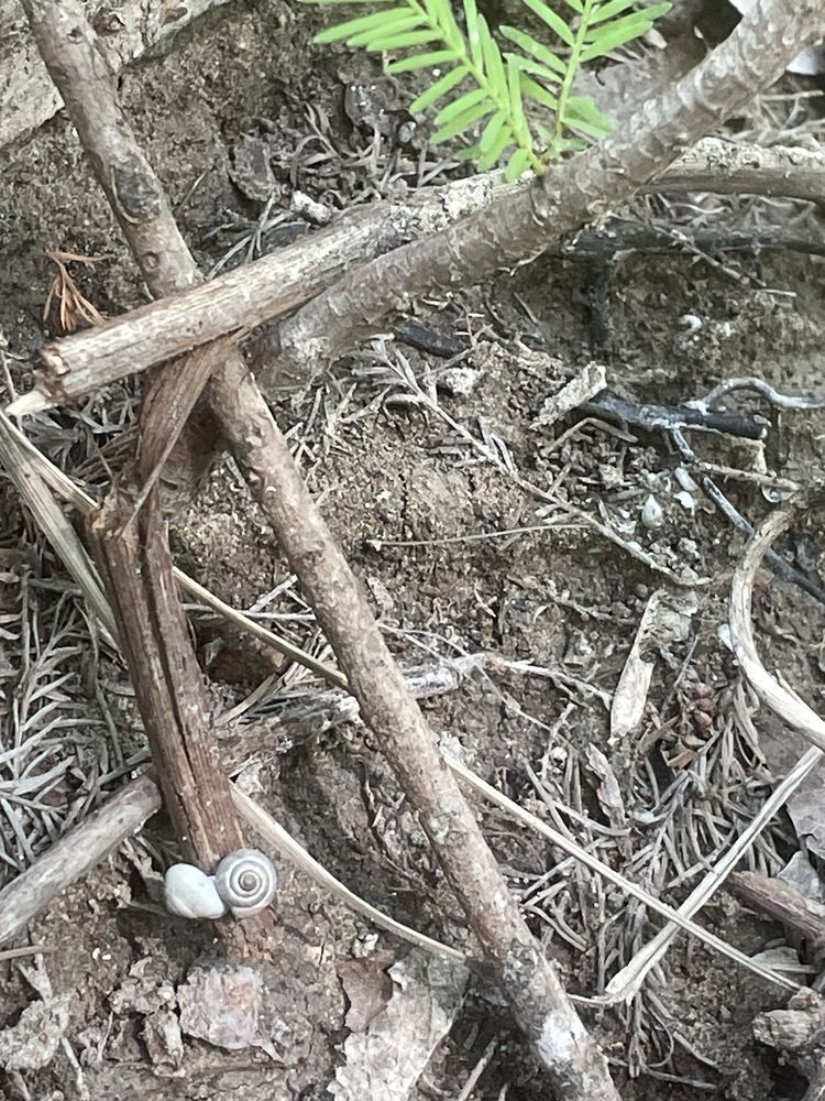 ALAMO RIVER RV PARK & CAMPGROUND - Updated October 2025 - 122 Photos ...