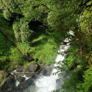 SILVER FALLS STATE PARK - 1408 Photos & 313 Reviews - 20024 Silver ...