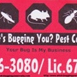 WHAT’S BUGGING YOU PEST CONTROL - 29 Photos & 24 Reviews - 1530 Bradfox ...