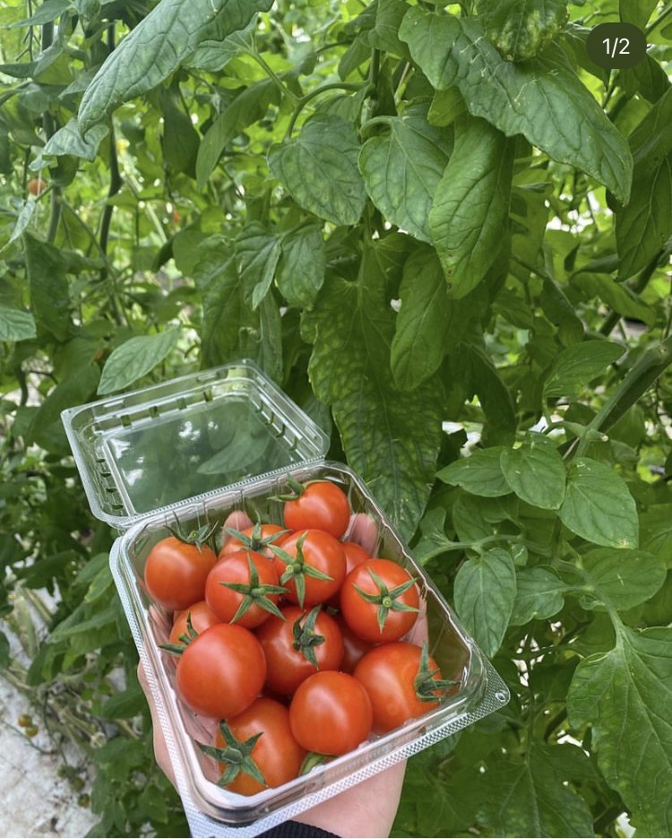 WILDERNESS EARTH FARM - Updated February 2025 - 36995 Ansel St N ...