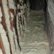 FRONTLINE PEST CONTROL - Updated December 2025 - 14 Photos & 83 Reviews ...