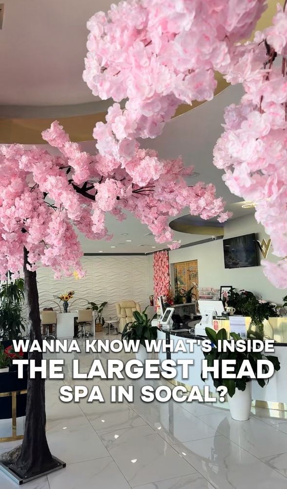 VN BEAUTY SPA - Updated October 2025 - 372 Photos & 247 Reviews - 10902 ...