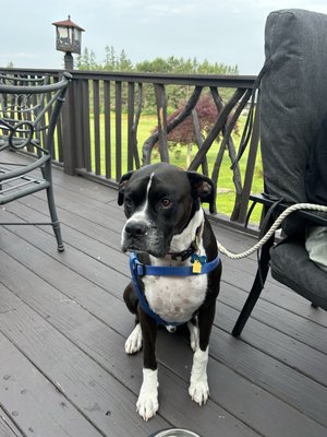 ROSCOE MOUNTAIN CLUB - Updated December 2025 - 27 Photos & 16 Reviews ...