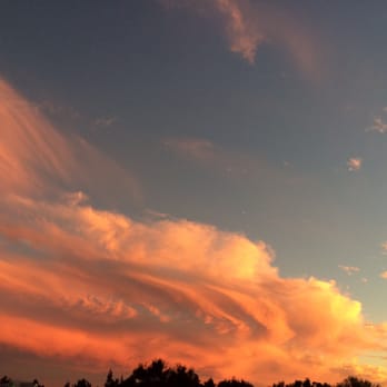 COMMUNITY OBSERVATORY - Updated July 2025 - 49 Photos & 22 Reviews ...