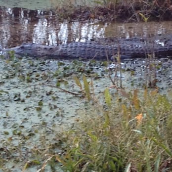 BIVENS ARM NATURE - Updated December 2025 - 44 Photos - 3650 S Main St ...