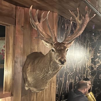 THE SICK STAG - Updated September 2025 - 48 Photos & 24 Reviews - 1219 ...
