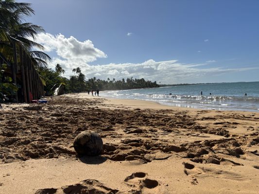 PIÑONES - Updated December 2025 - 164 Photos & 81 Reviews - Campamento ...