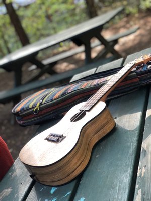 ALLIANCE REDWOODS CONFERENCE GROUNDS - Updated January 2026 - 100 ...