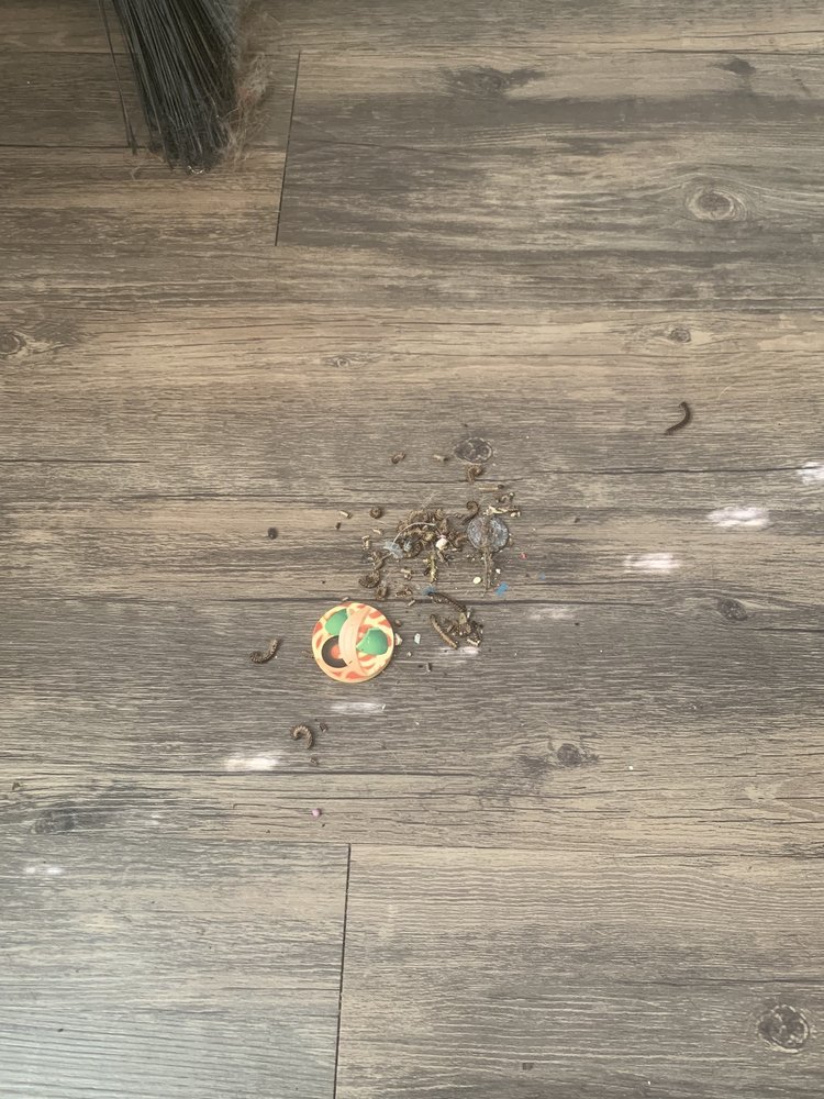 SOCO AT ALPINE - Updated December 2025 - 13 Photos - 3508 Alpine Cir ...