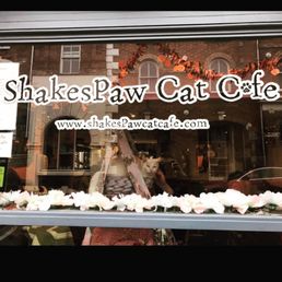 SHAKESPAW CAT CAFE - Updated July 2025 - 45 Photos - 6 Union Street, Stratford Upon Avon ...