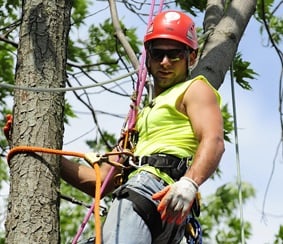 EB TREE LLC - Updated December 2024 - 13345 Juliet Rd, Cologne ...