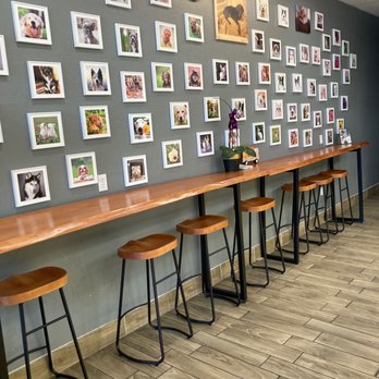 MACHI TEA HOUSE - Updated October 2025 - 45 Photos & 31 Reviews - 1645 ...