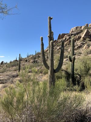 THE ROCKS - Updated January 2025 - 20 Photos - 27440 N Alma School Pkwy ...