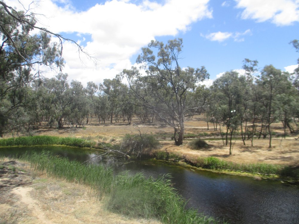 APEX PARK - Updated April 2024 - Donald Victoria, Australia - Parks - Yelp