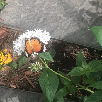 PERRY’S CAVE - Updated January 2026 - 115 Photos & 36 Reviews - 979 ...