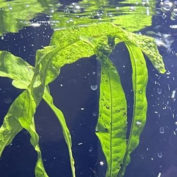 THAT FISH PLACE - THAT PET PLACE - Updated January 2026 - 149 Photos ...