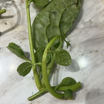 CHU HAI ORIENTAL MARKET - Updated December 2025 - 156 Photos & 11 ...