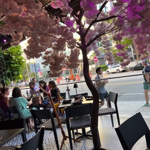 ALMA ROSA - 78 Photos & 44 Reviews - 1250 S Miami Ave, Miami, Florida ...