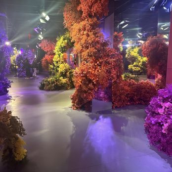 GENESIS HOUSE - Updated July 2024 - 787 Photos & 134 Reviews - 40A 10th ...