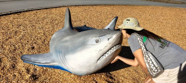 COYOTE POINT RECREATION AREA - 631 Photos & 226 Reviews - 1701 Coyote ...