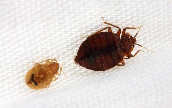 SMITHEREEN PEST MANAGEMENT SERVICES - Updated September 2025 - 40 ...